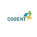 Cogent E Services CEO and Key Executive Team | Craft.co