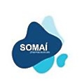 Somai Pharmaceuticals CEO and Key Executive Team | Craft.co