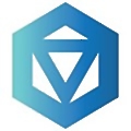 Secure Technology Value Solutions CEO and Key Executive Team | Craft.co