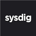Sysdig CEO and Key Executive Team | Craft.co